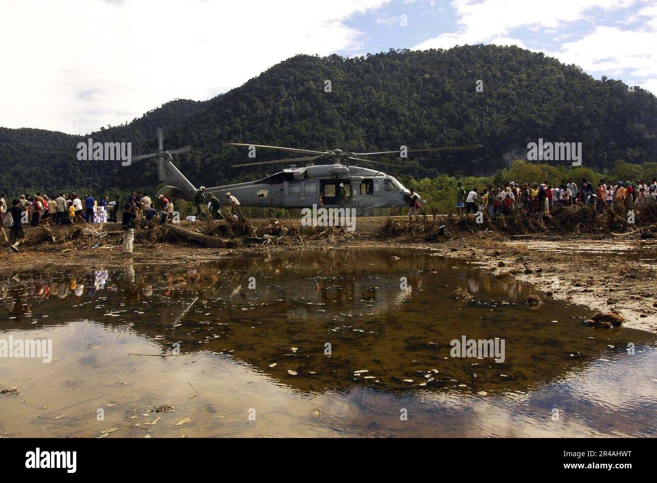 Island knighthawk hi-res stock photography and images - Alamy