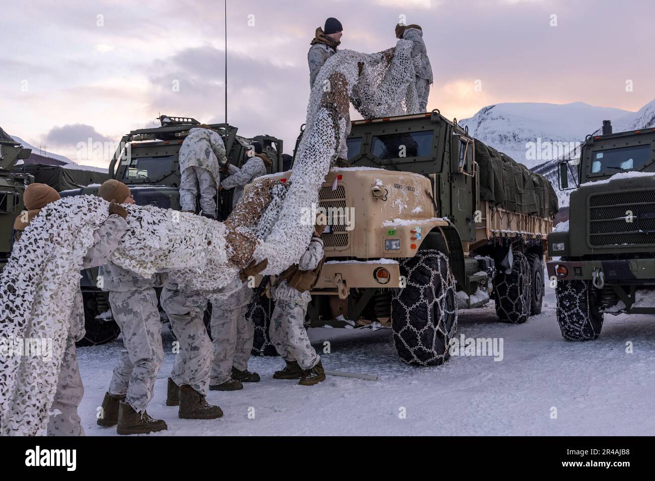 U.S. Marines with Combat Logistics Battalion 2, Combat Logistics ...