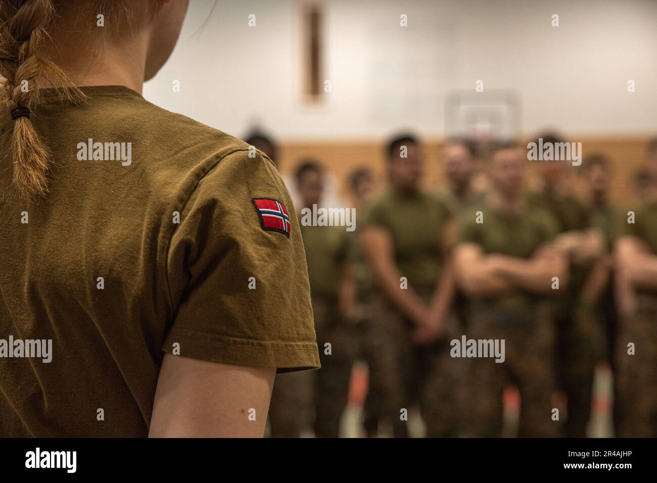 Norwegian Army soldiers and U.S. Marines with 2d Combat Engineer ...