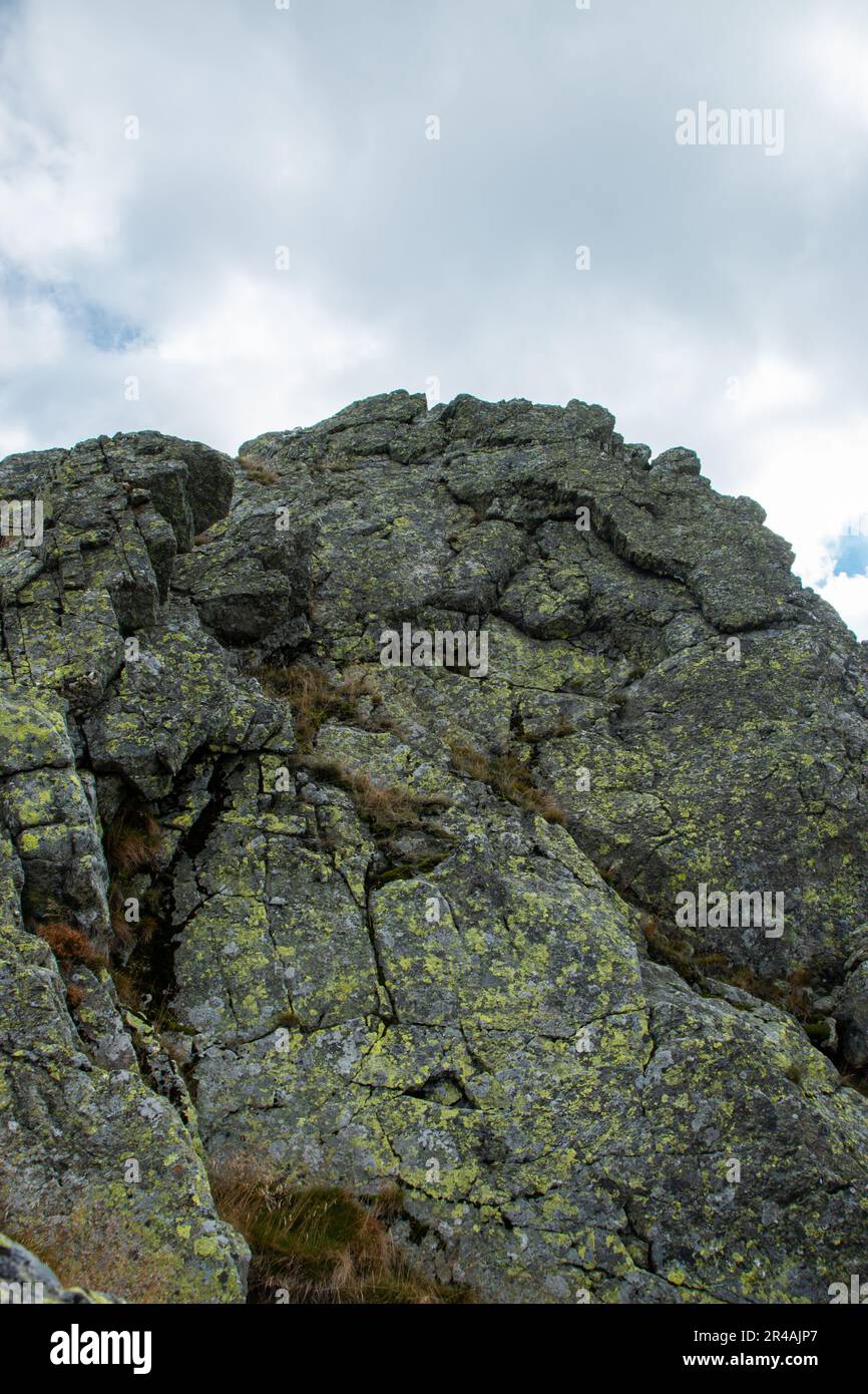 A landscape of a rock formation covered in lush green moss on a cloudy ...