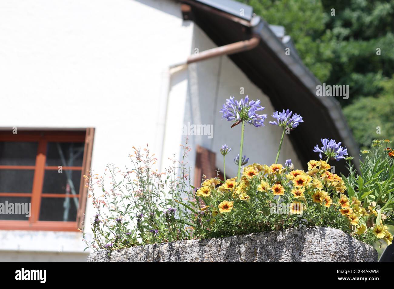 A large cement flower pot filled with a variety of colorful blooms ...