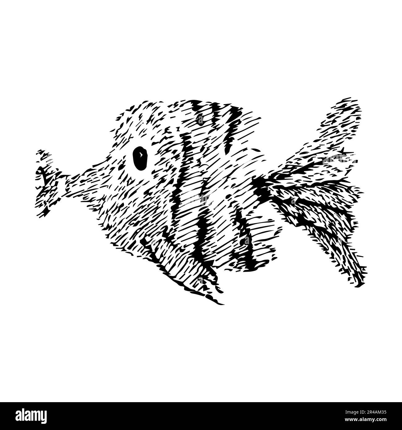 Hand drawn vector illustration of fish isolated on white background ...