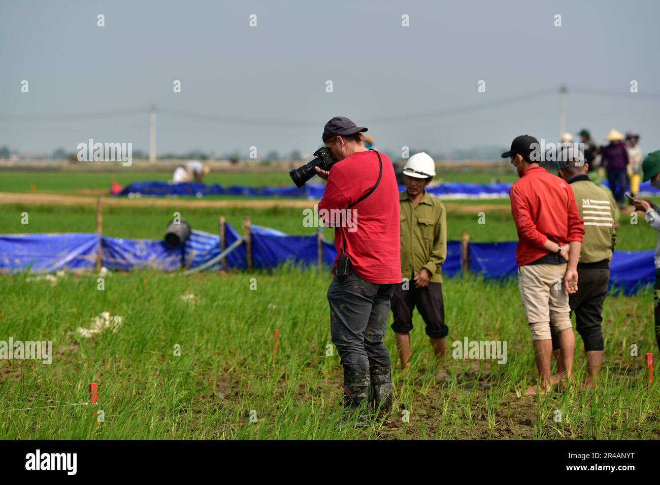 Dpaas image hi-res stock photography and images - Alamy