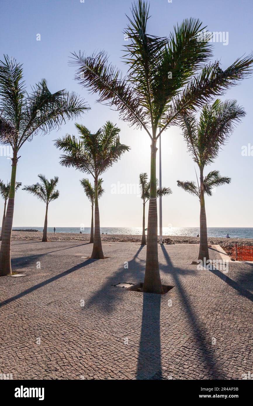 Town in luanda angola hi-res stock photography and images - Alamy