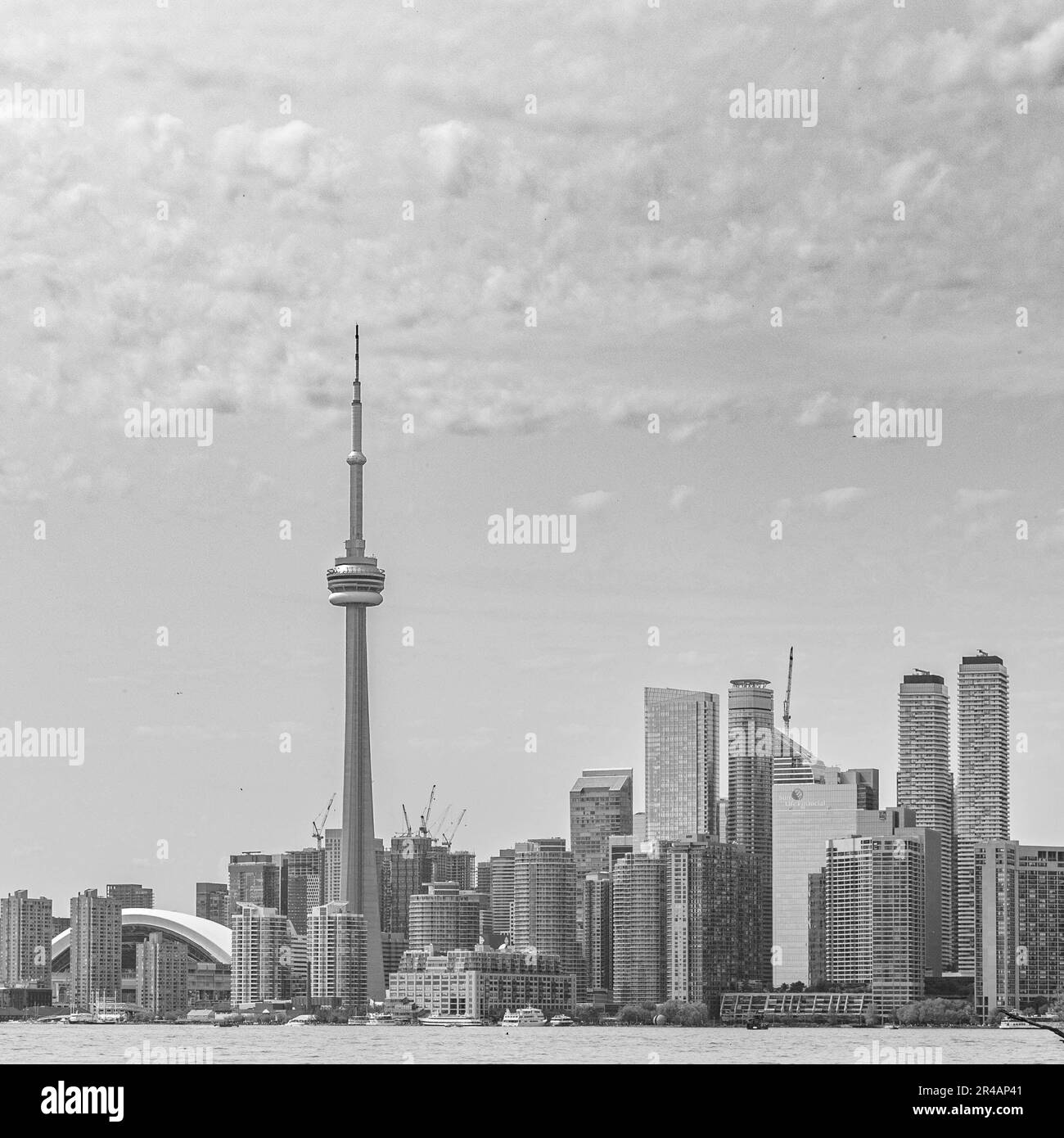 A grayscale of the Toronto skyline, featuring iconic skyscrapers in the ... A grayscale of the Toronto skyline, featuring iconic skyscrapers in the ...