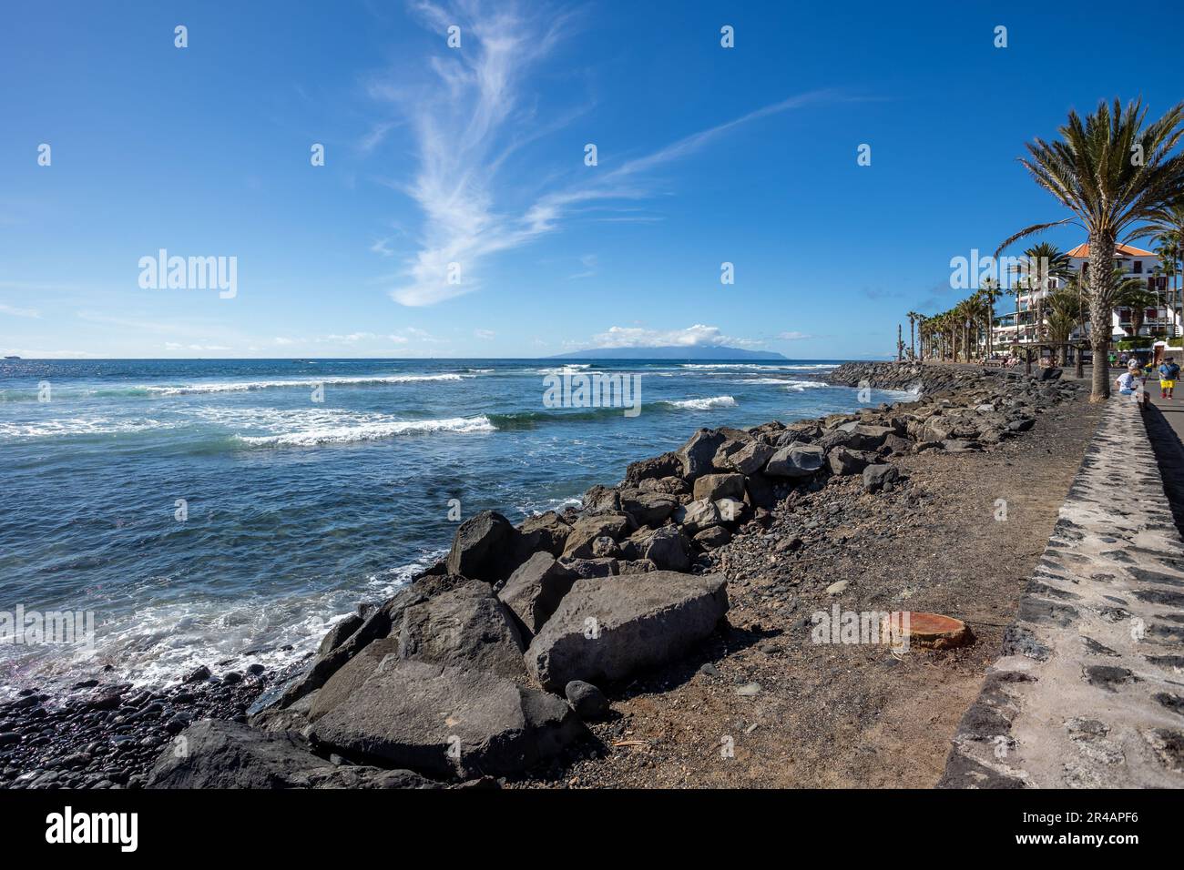 A tropical beach scene featuring swaying palm trees, smooth rocks, and ...