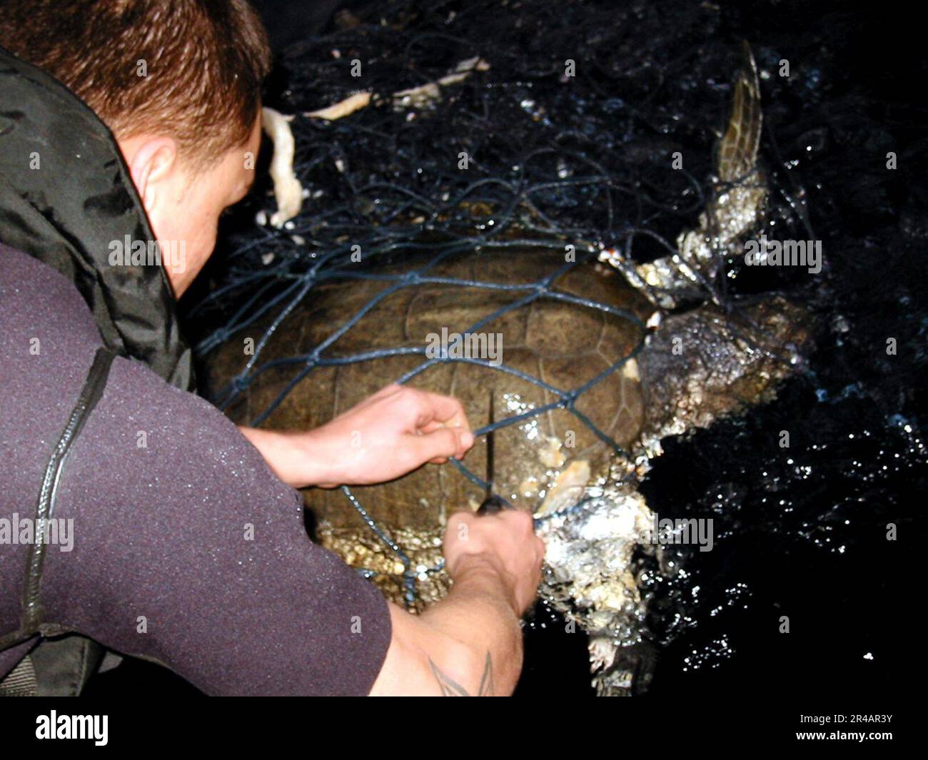US Navy Search and rescue swimmer assigned to the amphibious assault ...
