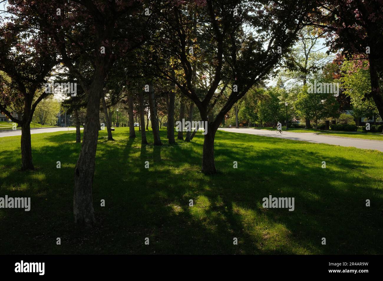 A picturesque outdoor scene featuring lush green grass fields ...