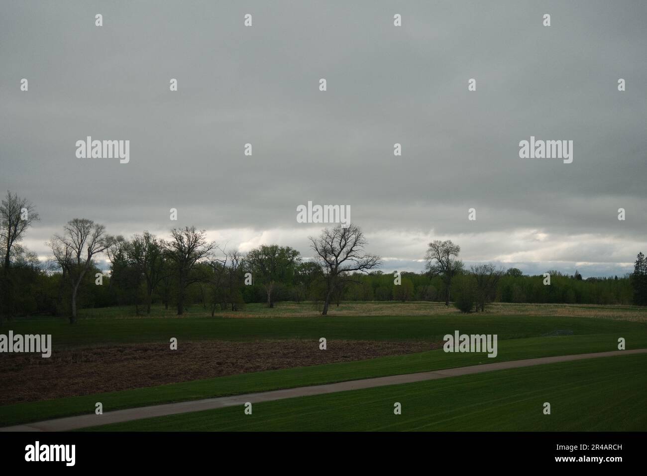 A landscape featuring an expanse of lush green grass and trees ...