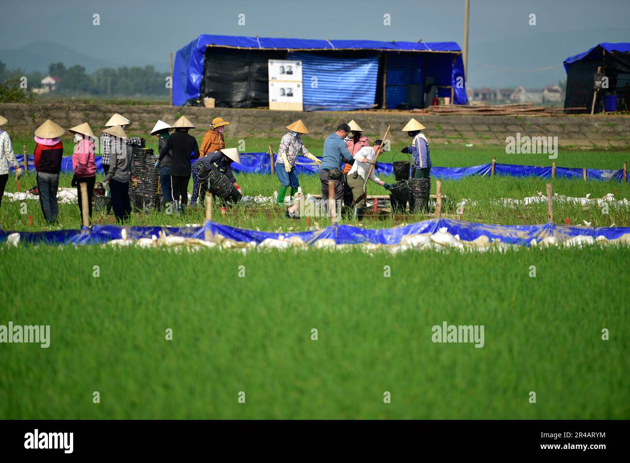 Members of the Defense POW/MIA Accounting Agency (DPAA) team, work a ...
