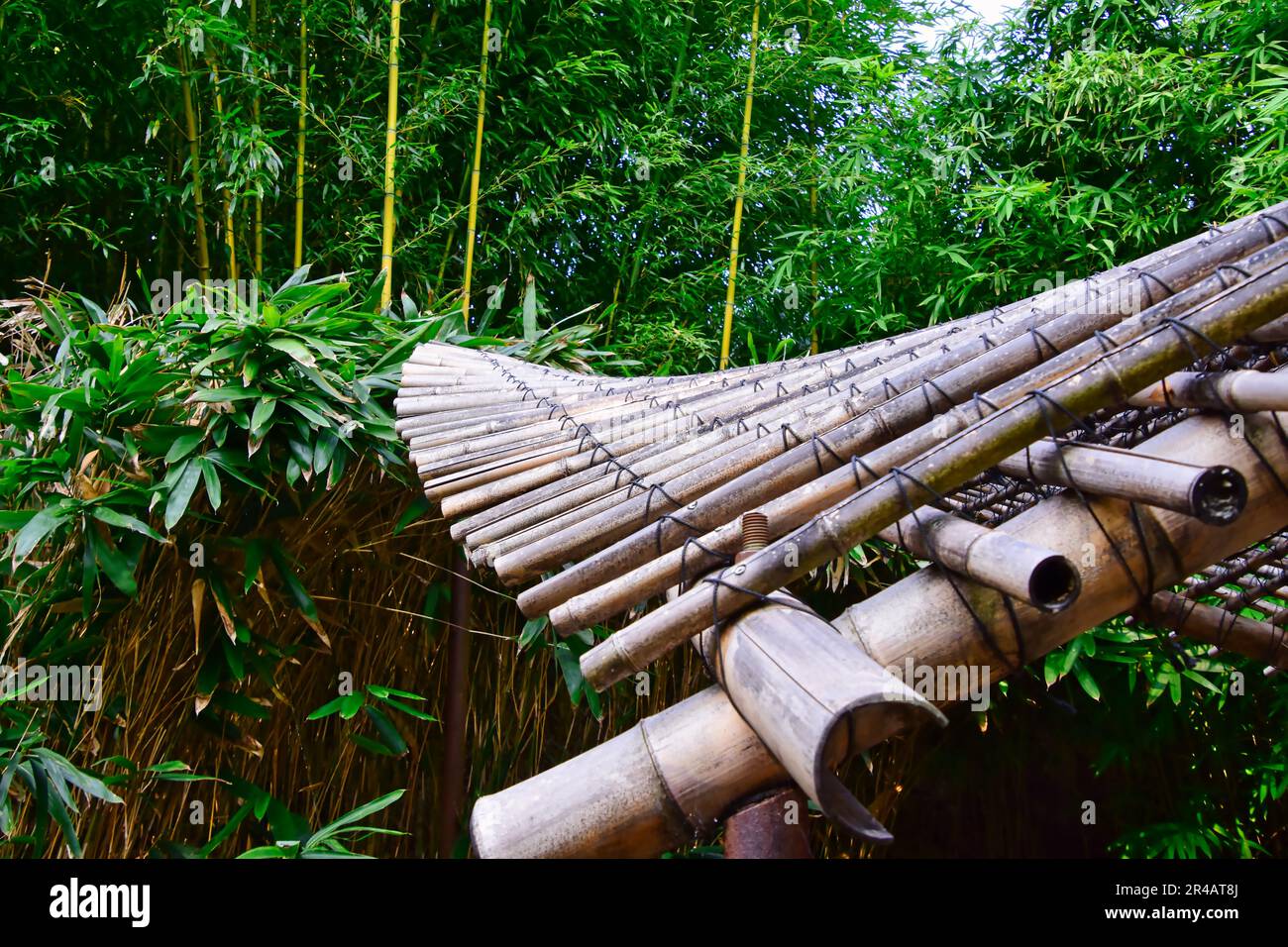 Bamboo support structure hi-res stock photography and images - Alamy
