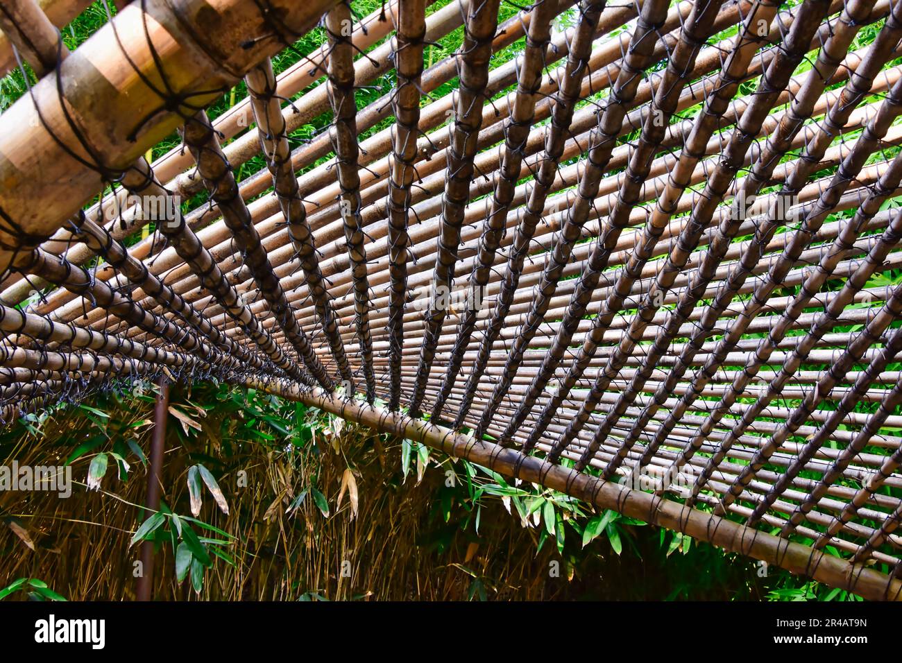 A high-resolution closeup photograph of a traditional Asian-style ...