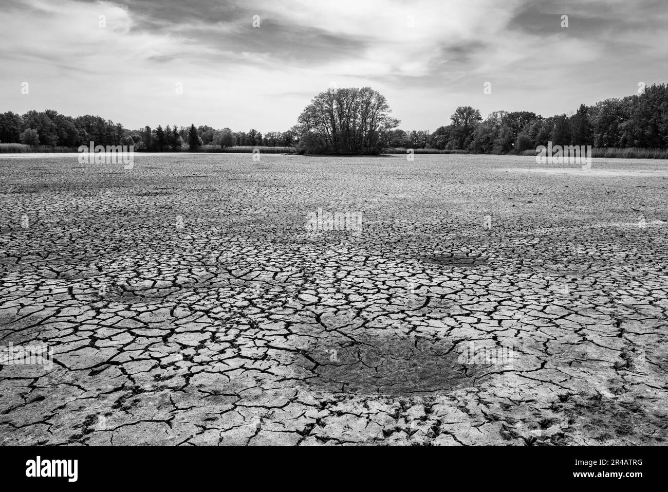 dried out lake in Germany Stock Photo - Alamy