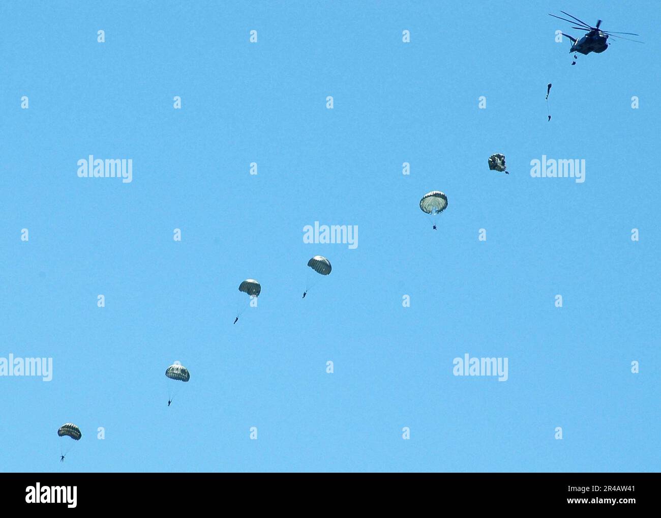 US Navy U.S. Army Paratroopers assigned to the 143rd Infantry, Austin ...