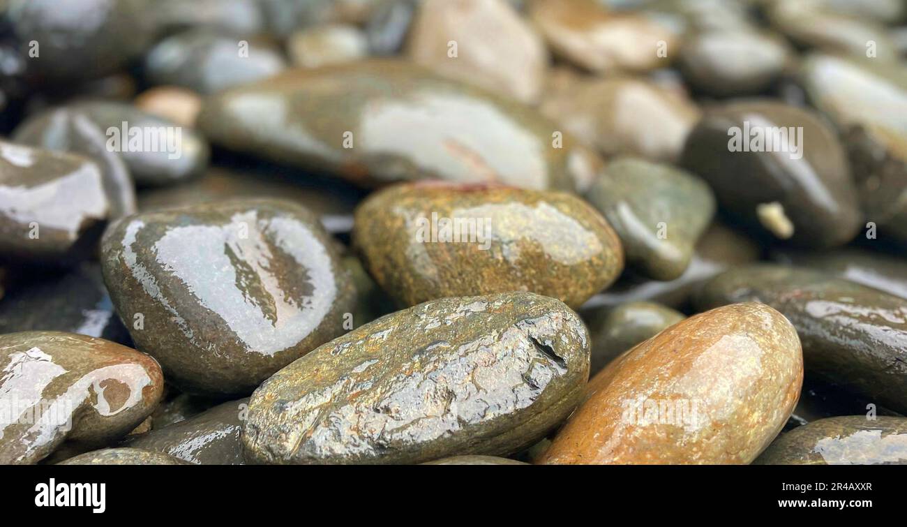 A collection of smooth rocks resting on a beach Stock Photo - Alamy