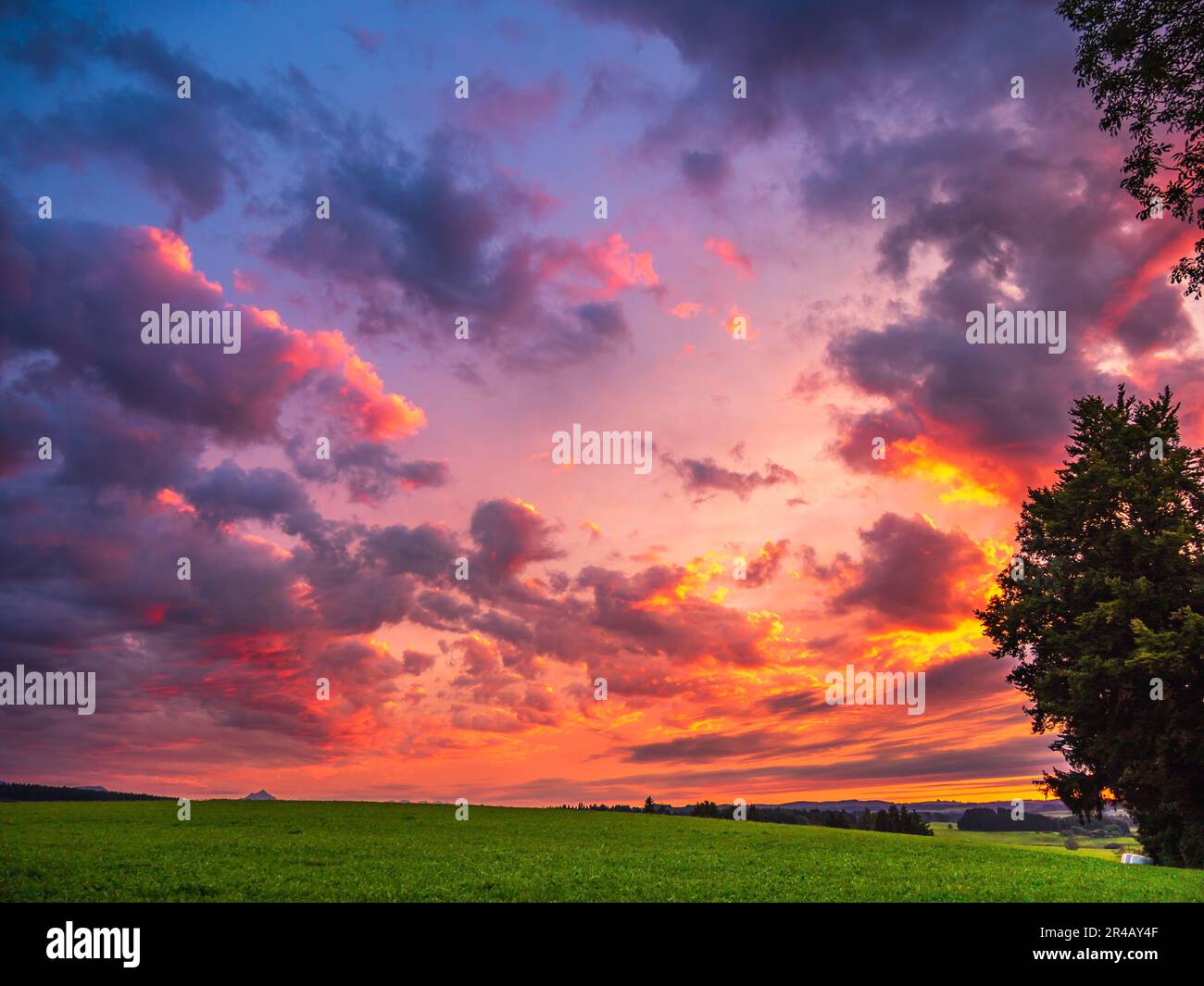 A beautiful colorful sunset over a green grassy field Stock Photo - Alamy