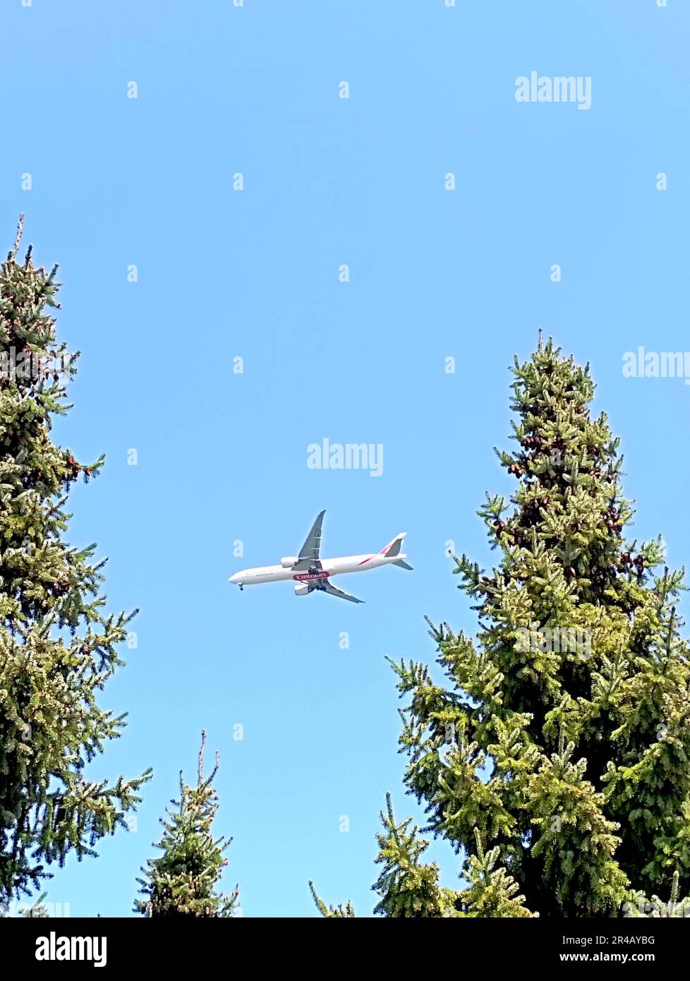 Aerial view of a passenger plane flying over a park, with trees visible ...