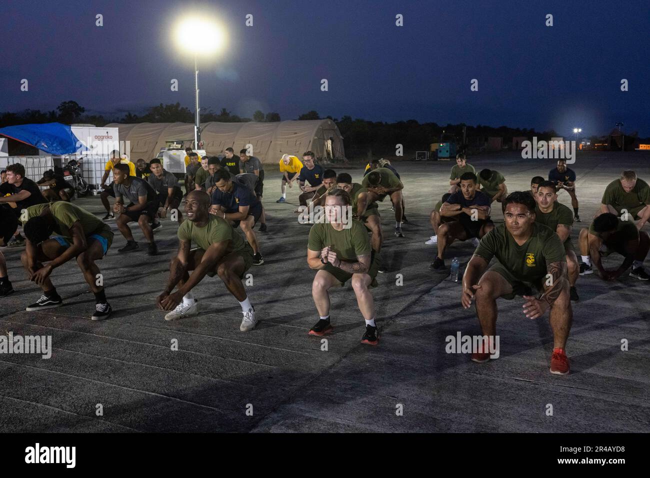 U.S. Marines with 3rd Landing Support Battalion, Navy Sailors and Army ...