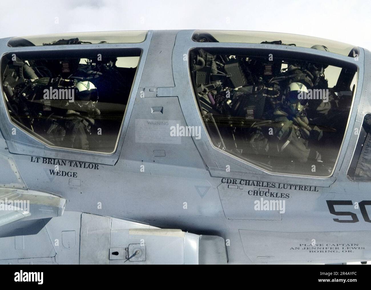 US Navy Commanding Officer, Electronic Attack Squadron One Three Five ...