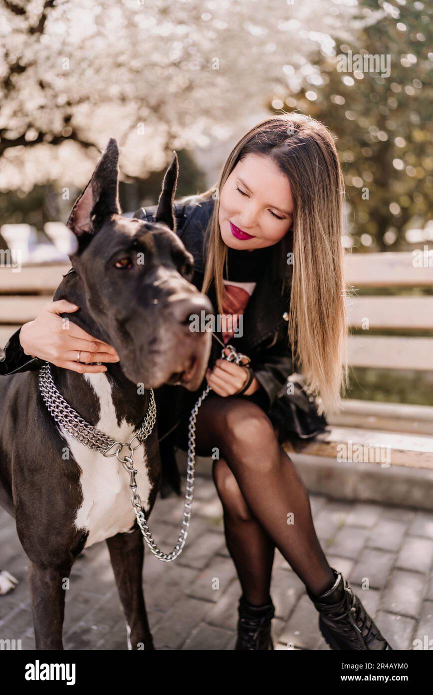 A woman walks with her Great Dane in an urban setting, enjoying the ...