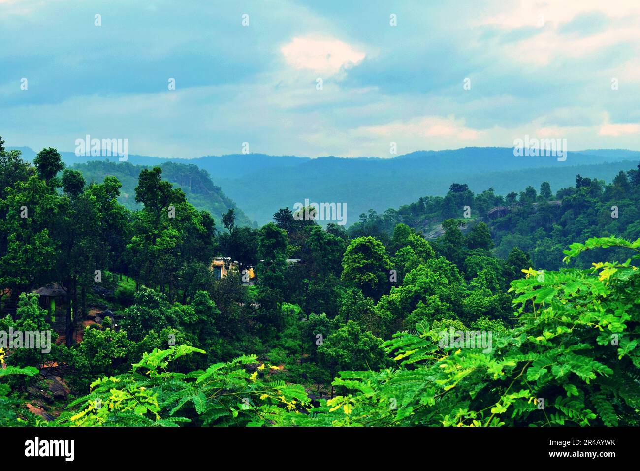 Lush greenery with scenic mountain view in rainy season Stock Photo - Alamy