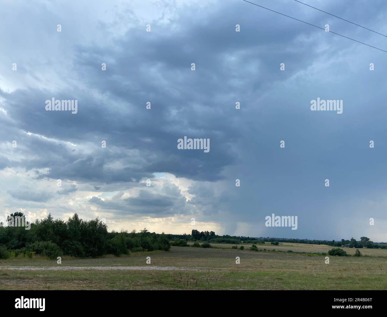 Sparse trees under hi-res stock photography and images - Alamy