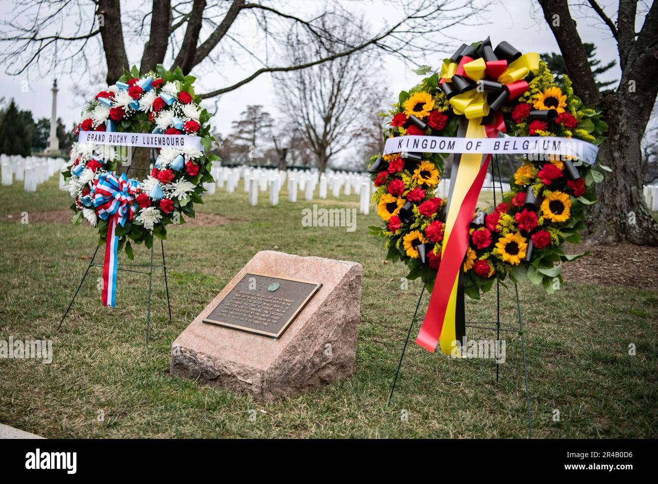 Ardennes forest 1944 hi-res stock photography and images - Alamy