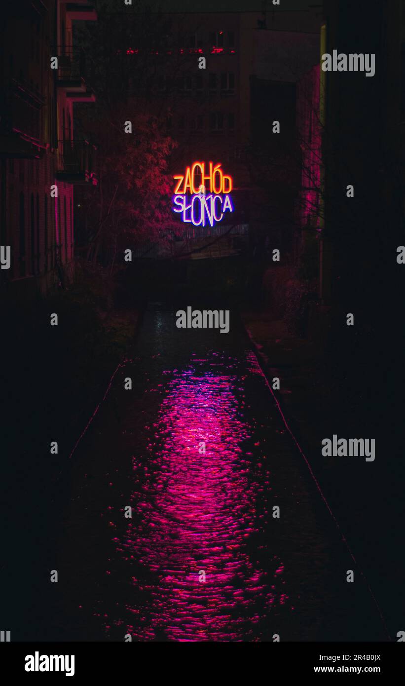 A neon sign brightly glowing on a wet city street, with the reflection ...