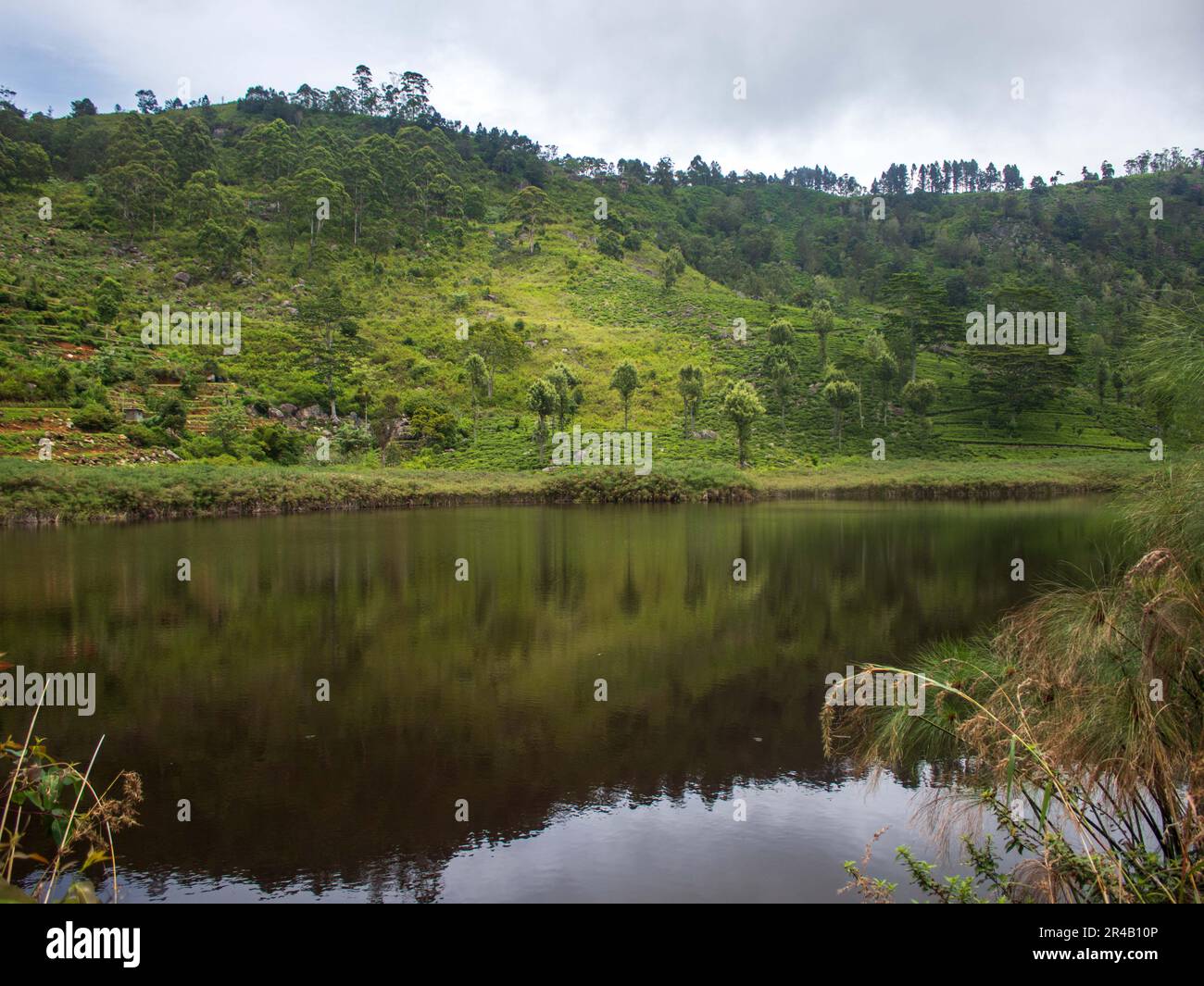 A beautiful view of a calm lake surrounded by greenery Stock Photo - Alamy