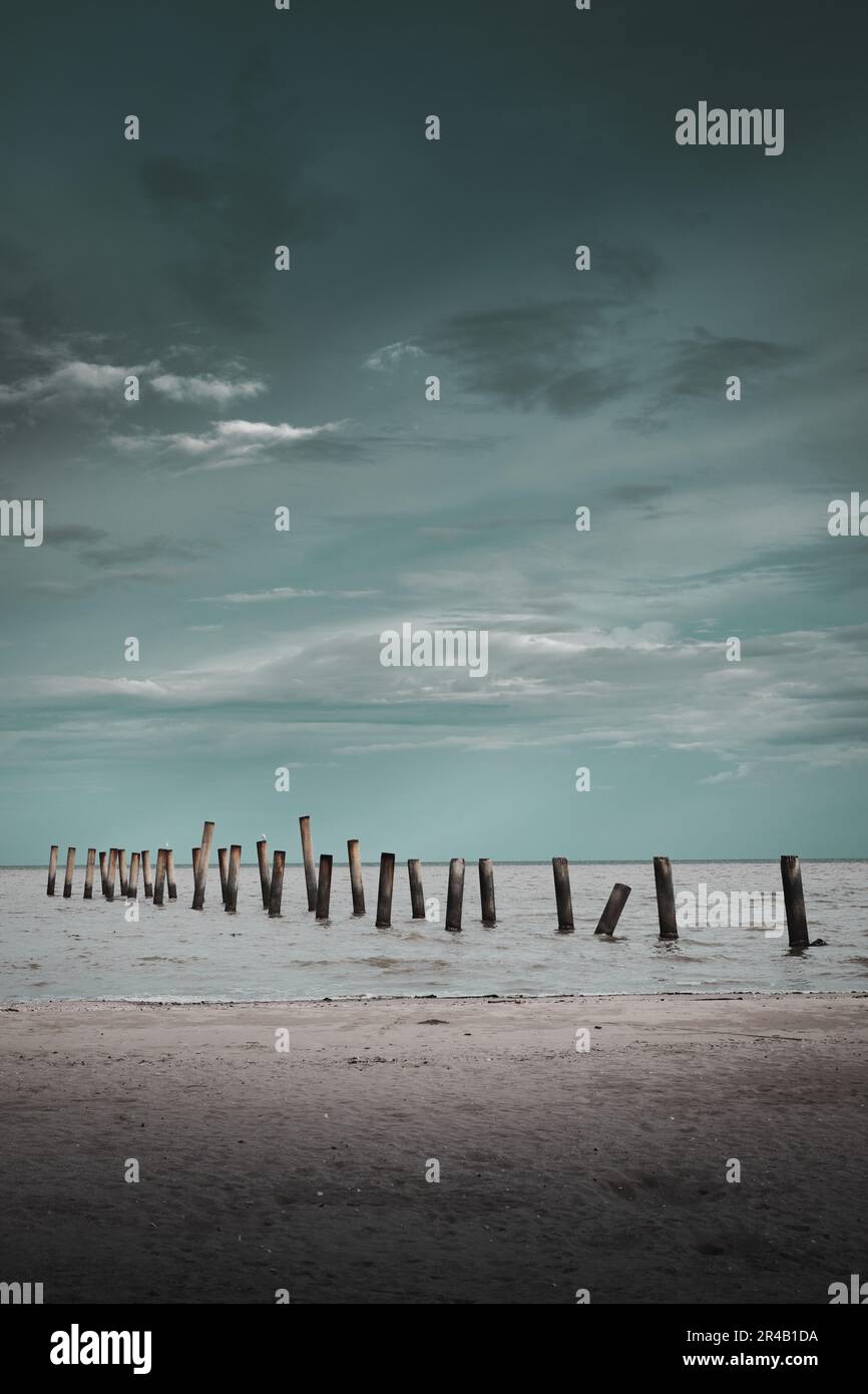 A scenic view of a beach seascape through an open gate, with sunlight ...