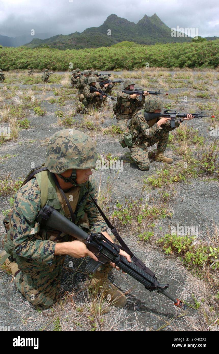 US Navy U.S. Marines set-up a perimeter on a training area in Hawaii ...