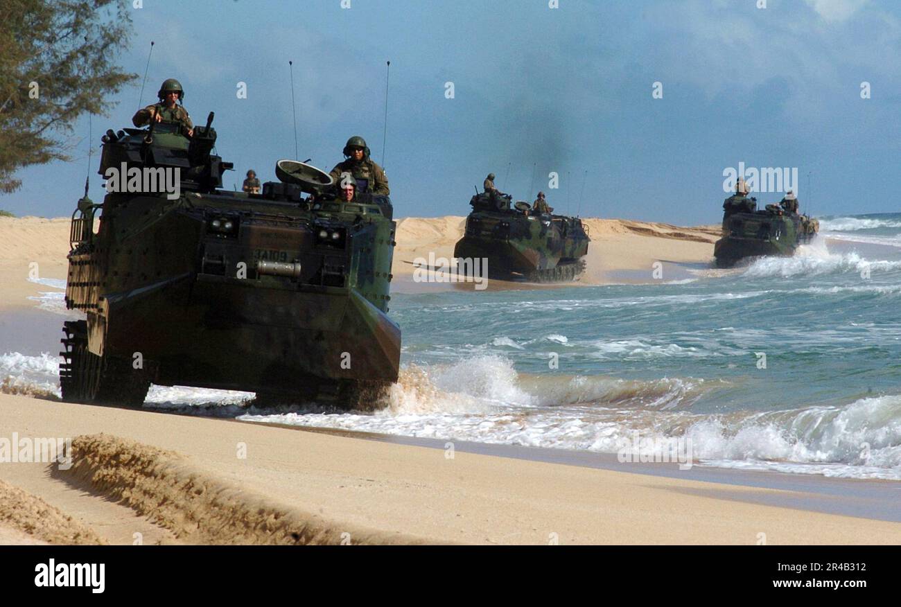 US Navy U.S. Marines assigned to 3rd Amphibious Assault Battalion ...