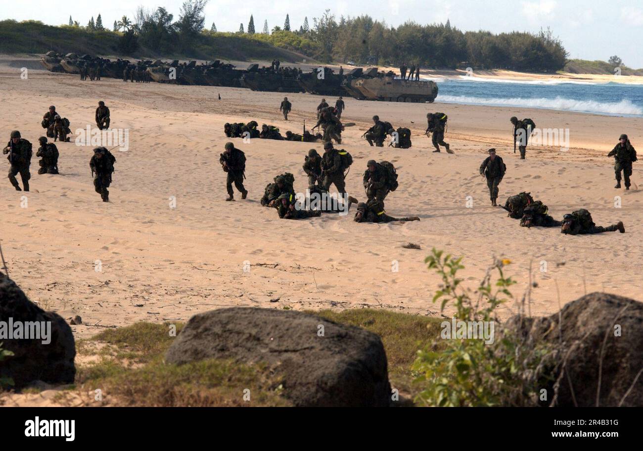US Navy U.S. Marines assigned to 3rd Assault Amphibious Battalion, 1st ...
