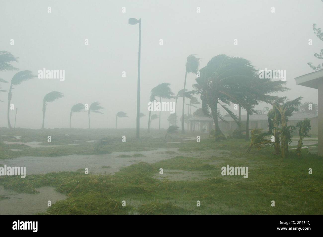 US Navy Hurricane Dennis batters palm trees and floods parts of Naval ...