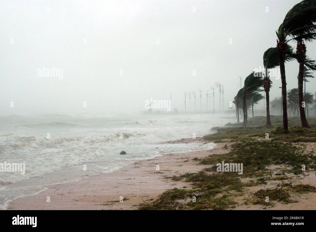 US Navy Hurricane Dennis batters palm trees and floods parts of Naval ...