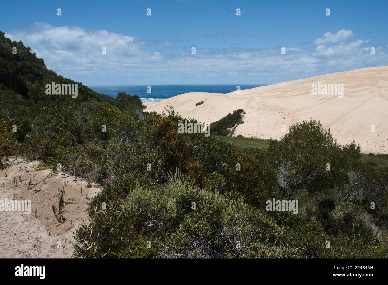 A scenic view of a grassy field on a sandy shore near a beach with a ...