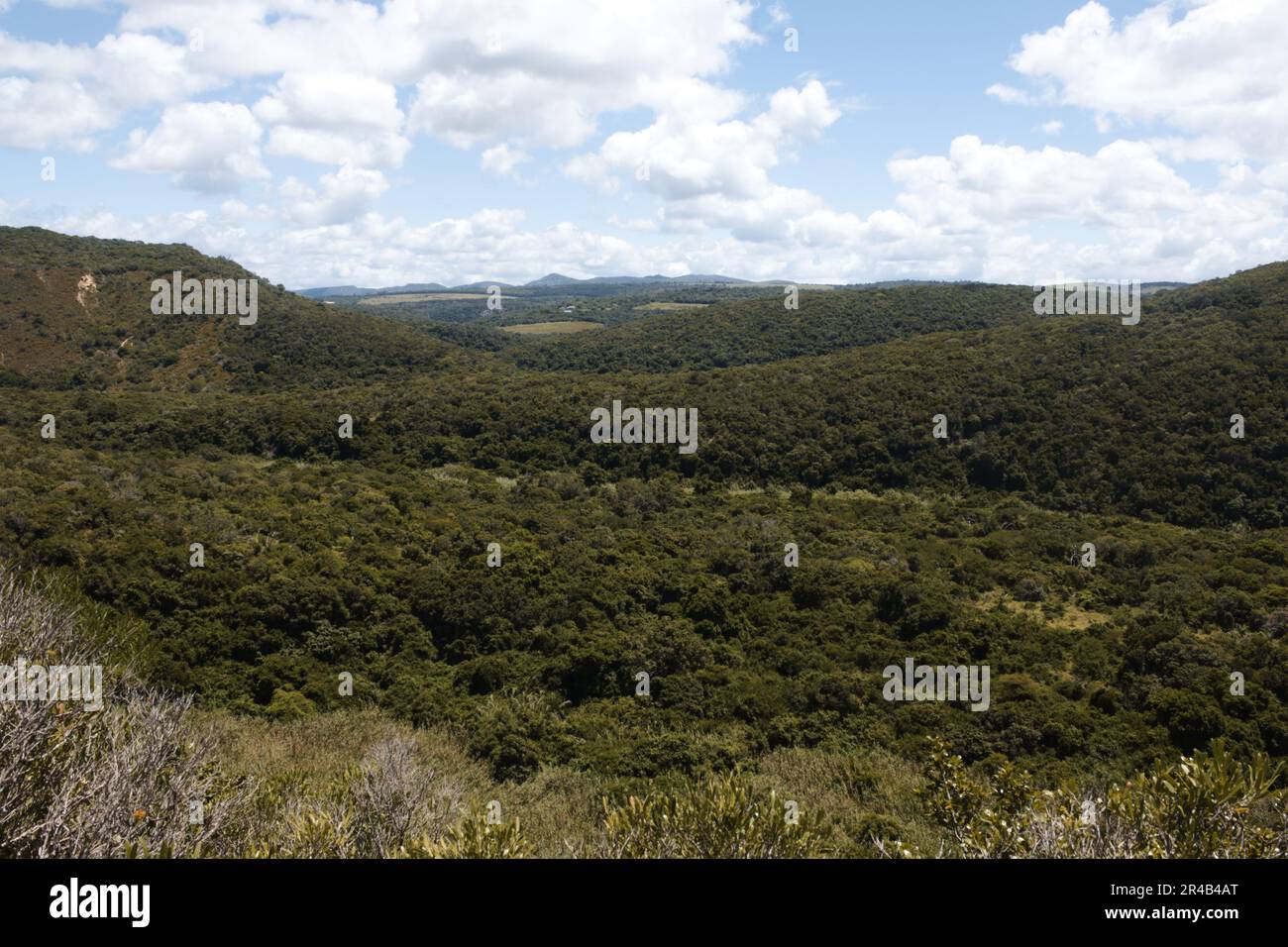 A scenic panoramic view of a sprawling valley covered in lush greenery ...
