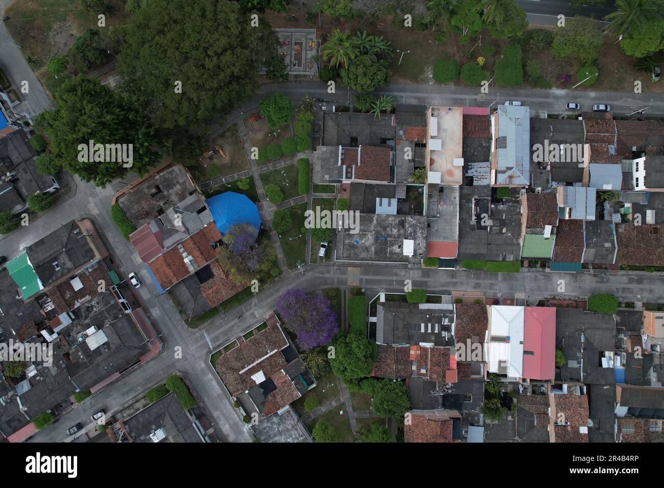 A bird's-eye view of a residential neighborhood with lush greenery ...