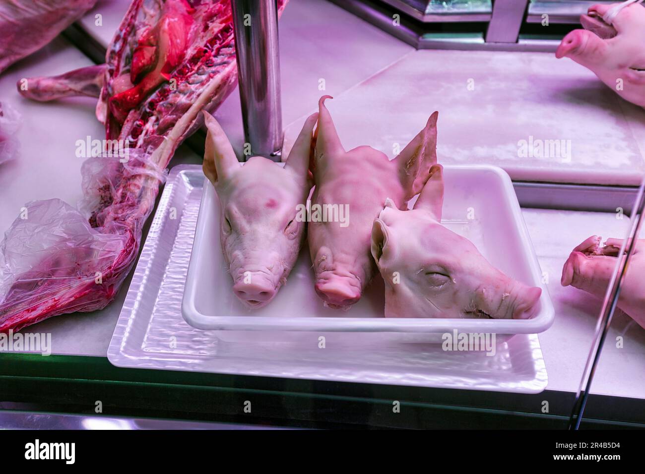 Pig's heads and fresh meat, specialities at a market stall, Spain Stock ...