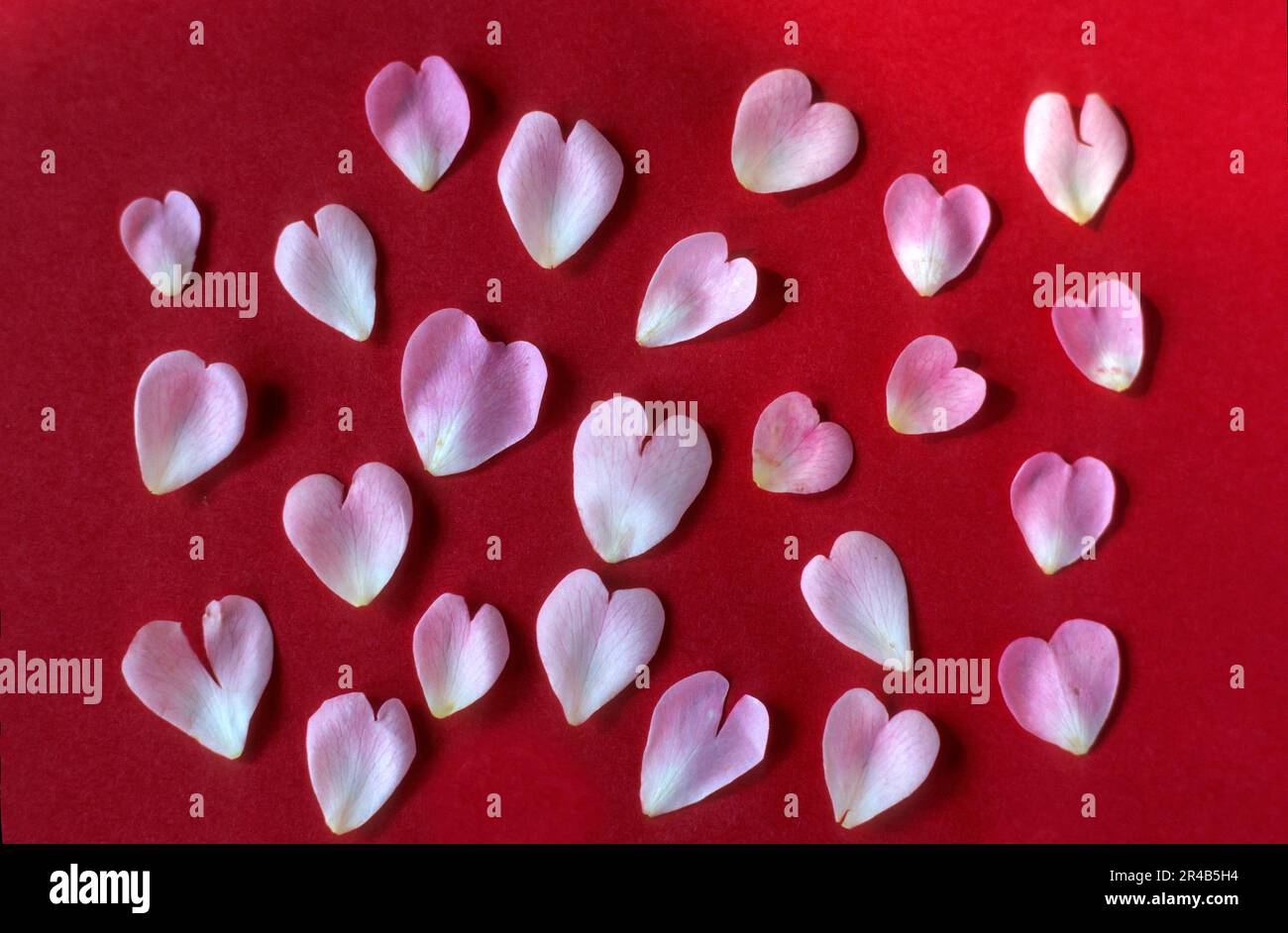 Heart of petals hi-res stock photography and images - Alamy