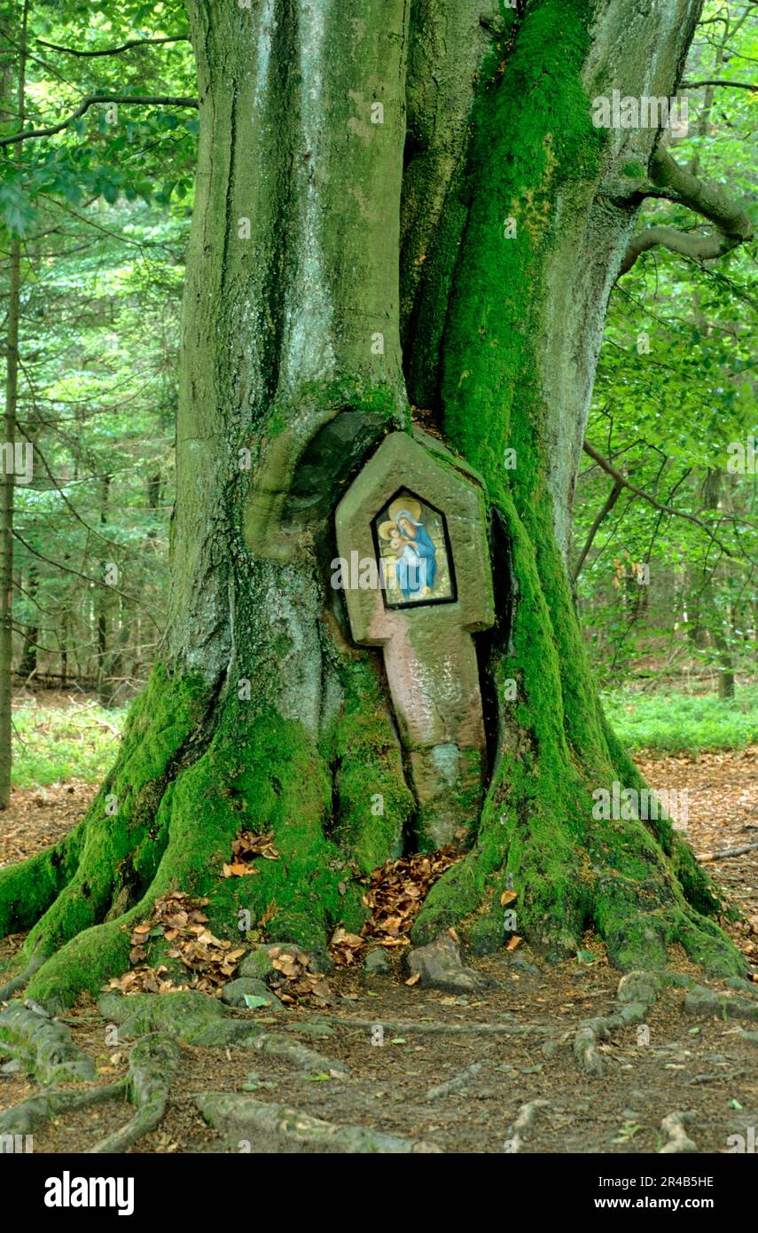 Shrine by a tree hi-res stock photography and images - Alamy