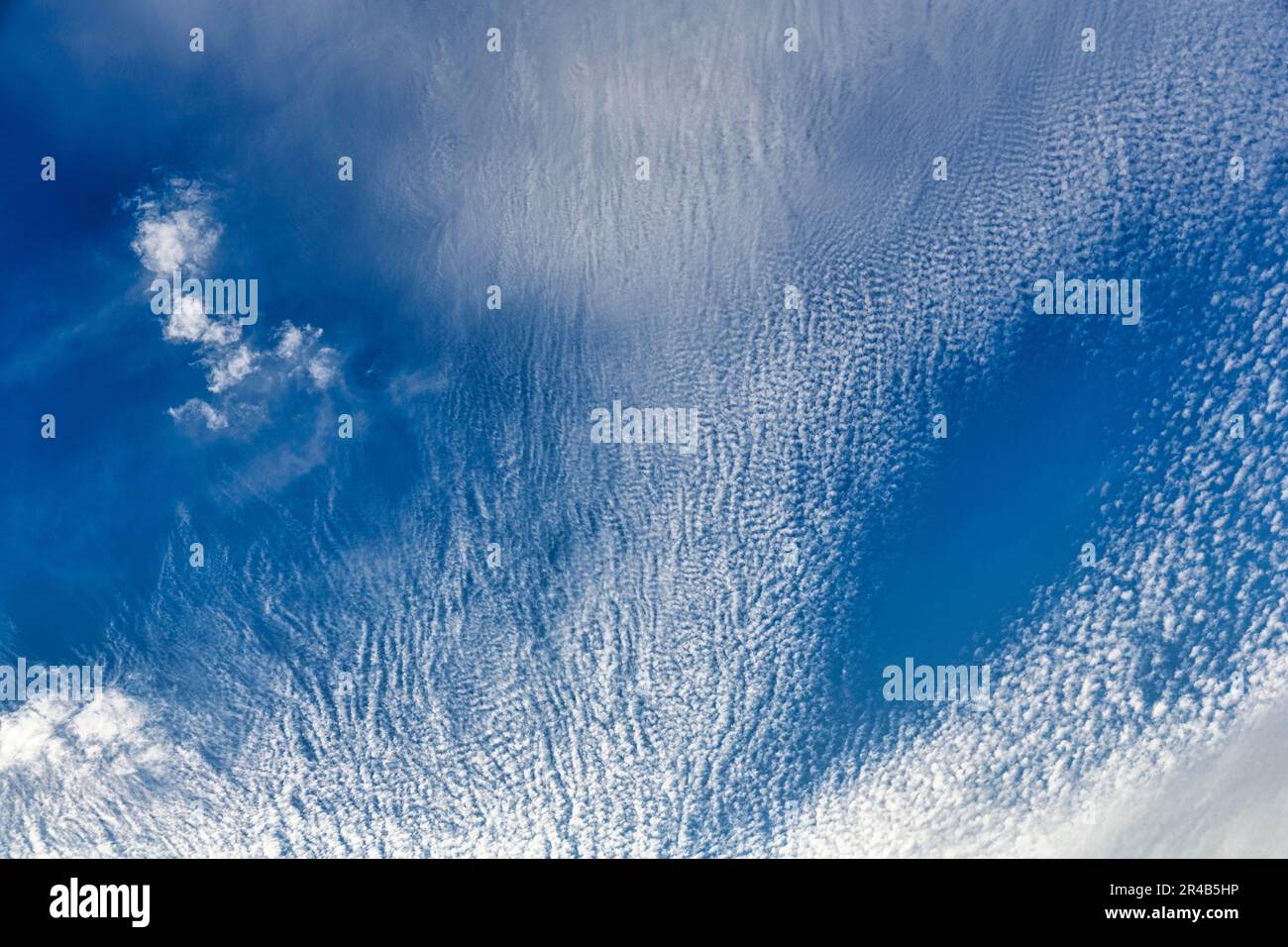 Cirrocumulus in blue sky, fleecy clouds at high altitude, filling ...