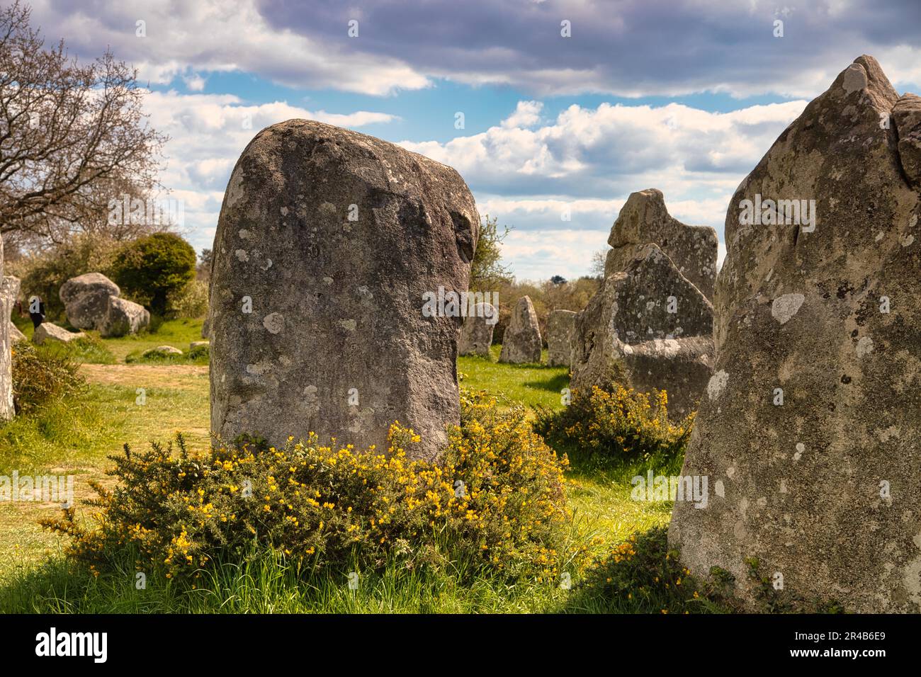 Megalithic stone rows from Kerzerho, commune of Erdeven, department of ...
