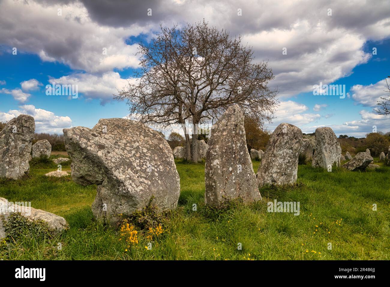 Megalithic stone rows from Kerzerho, commune of Erdeven, department of ...