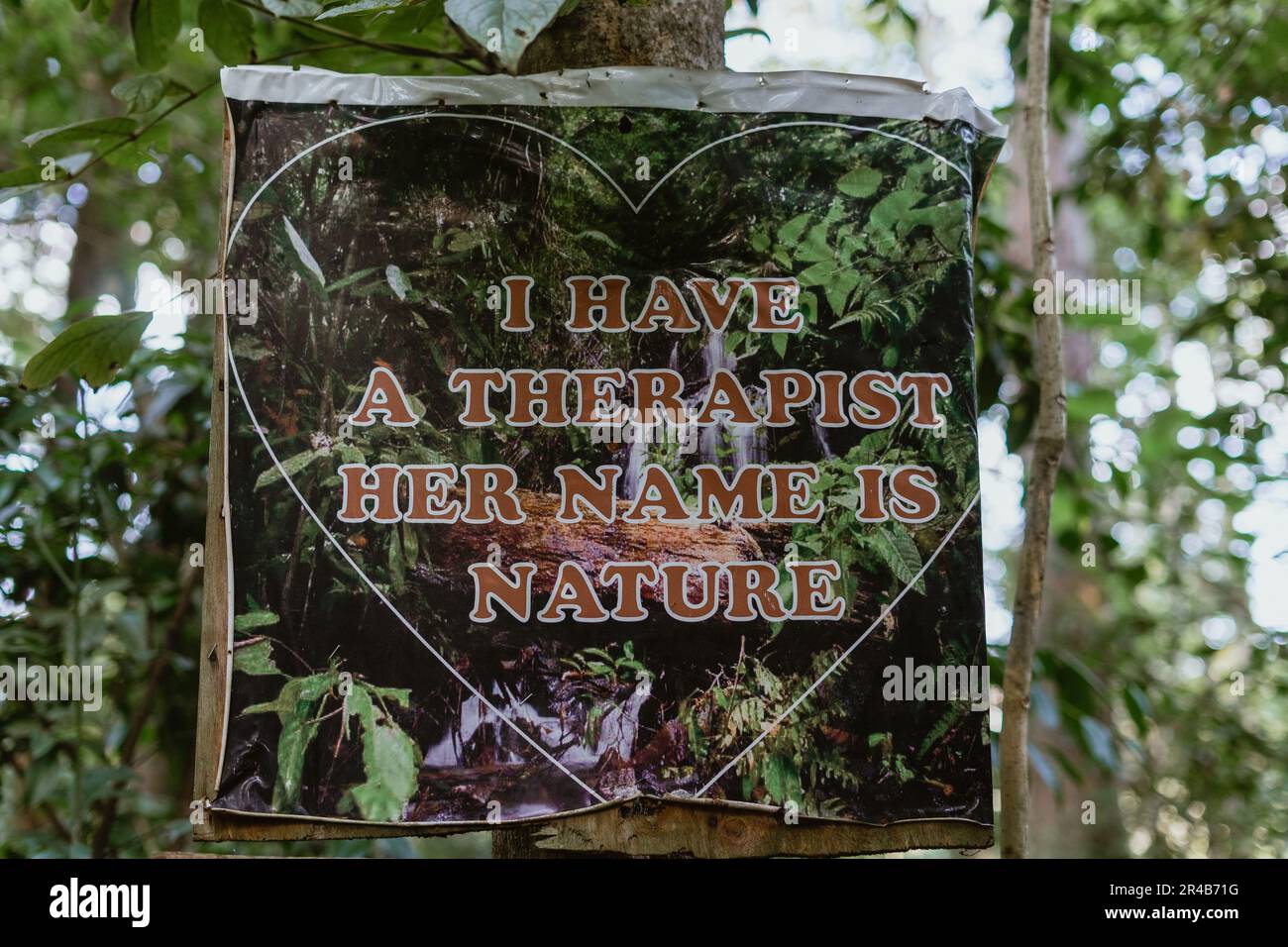 A close-up image of a sign attached to the side of a tree with the ...