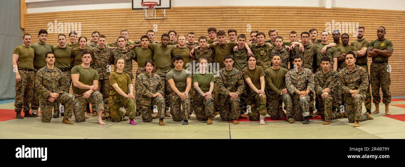 U.S. Marine Corps Staff Sgt. Brian Bessey, a martial arts instructor ...