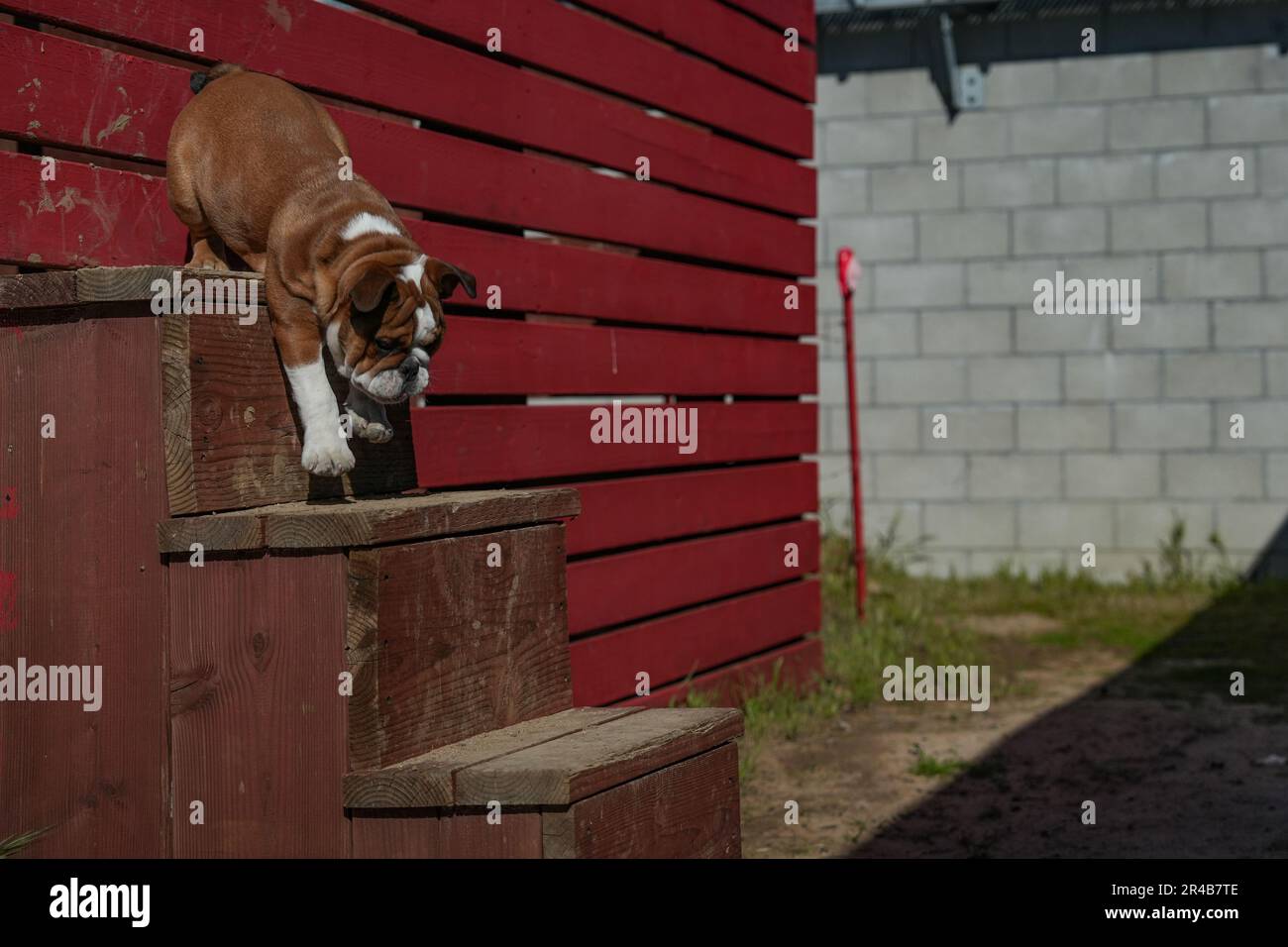U.S. Marine Corps Rct. Bruno leaps down the stairs during a 12 stalls ...