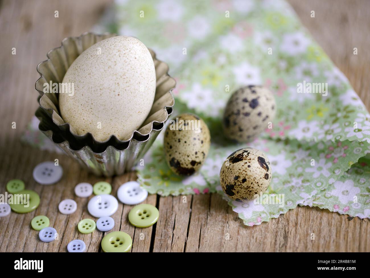 Duck egg and quail eggs Stock Photo - Alamy