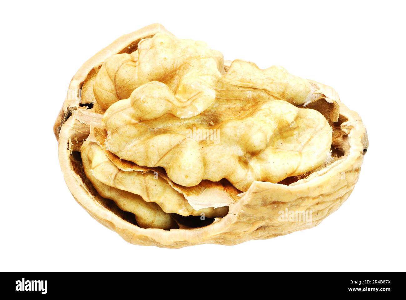 Walnut macro view detail hi-res stock photography and images - Alamy
