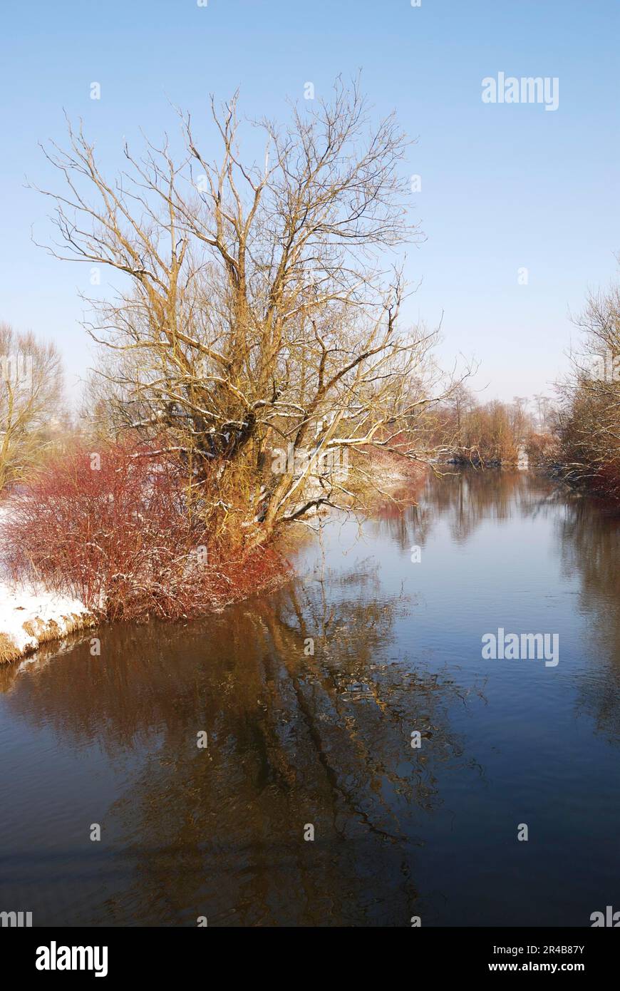 Waters tree landscape with nature hi-res stock photography and images ...